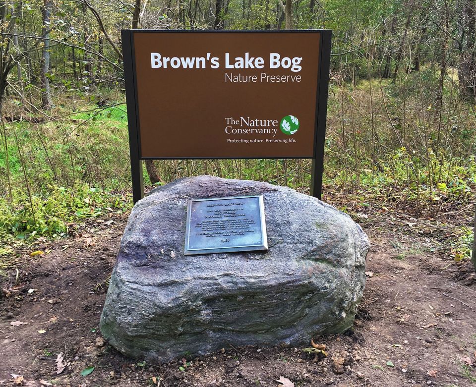 Brown's Lake Bog Preserve | The Nature Conservancy