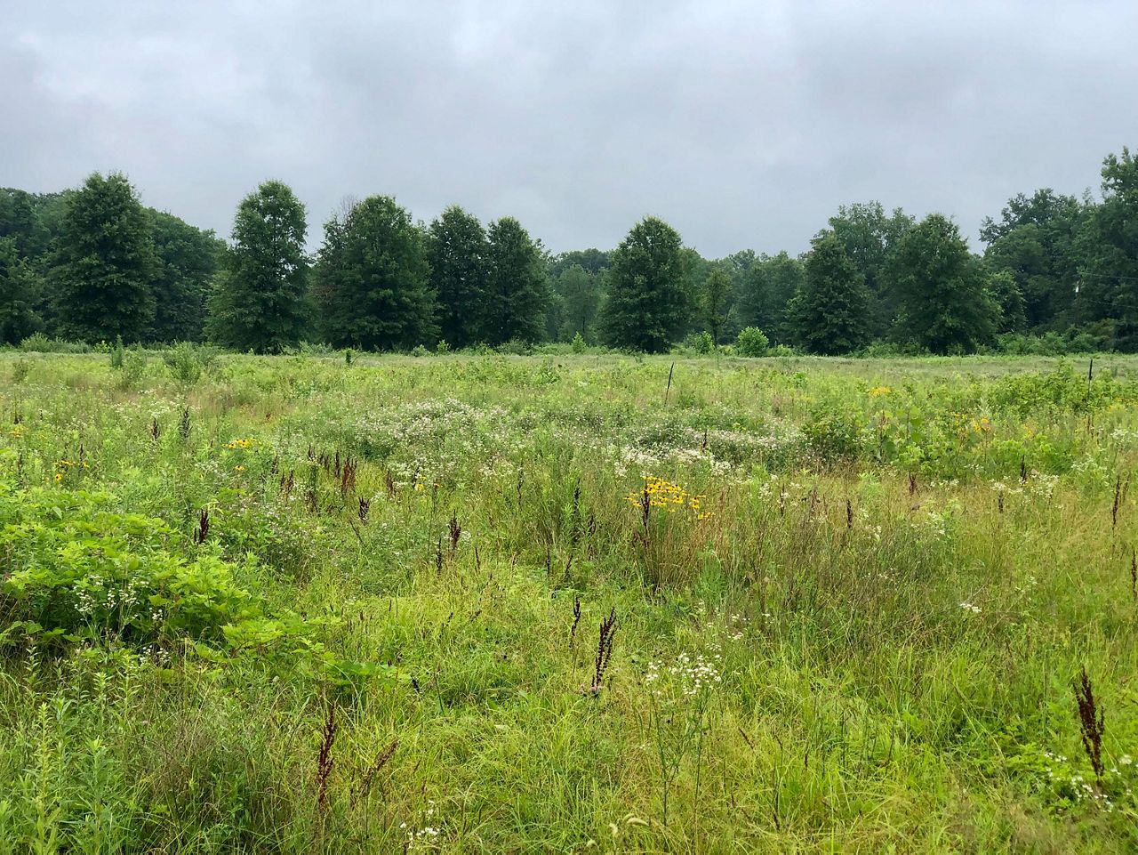 The Nature Conservancy in Ohio