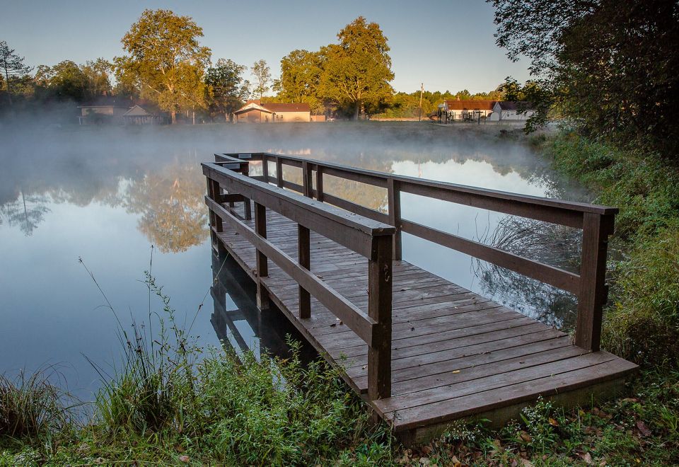 Morgan Swamp Preserve | The Nature Conservancy in Ohio