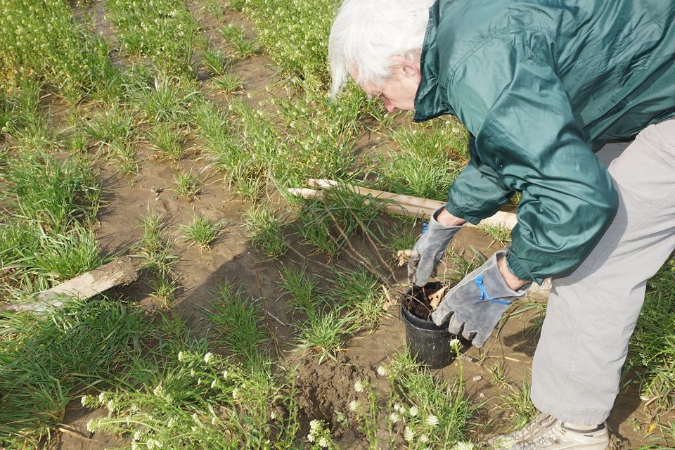 Ohio Mitigation Program is Restoring Streams and Wetlands