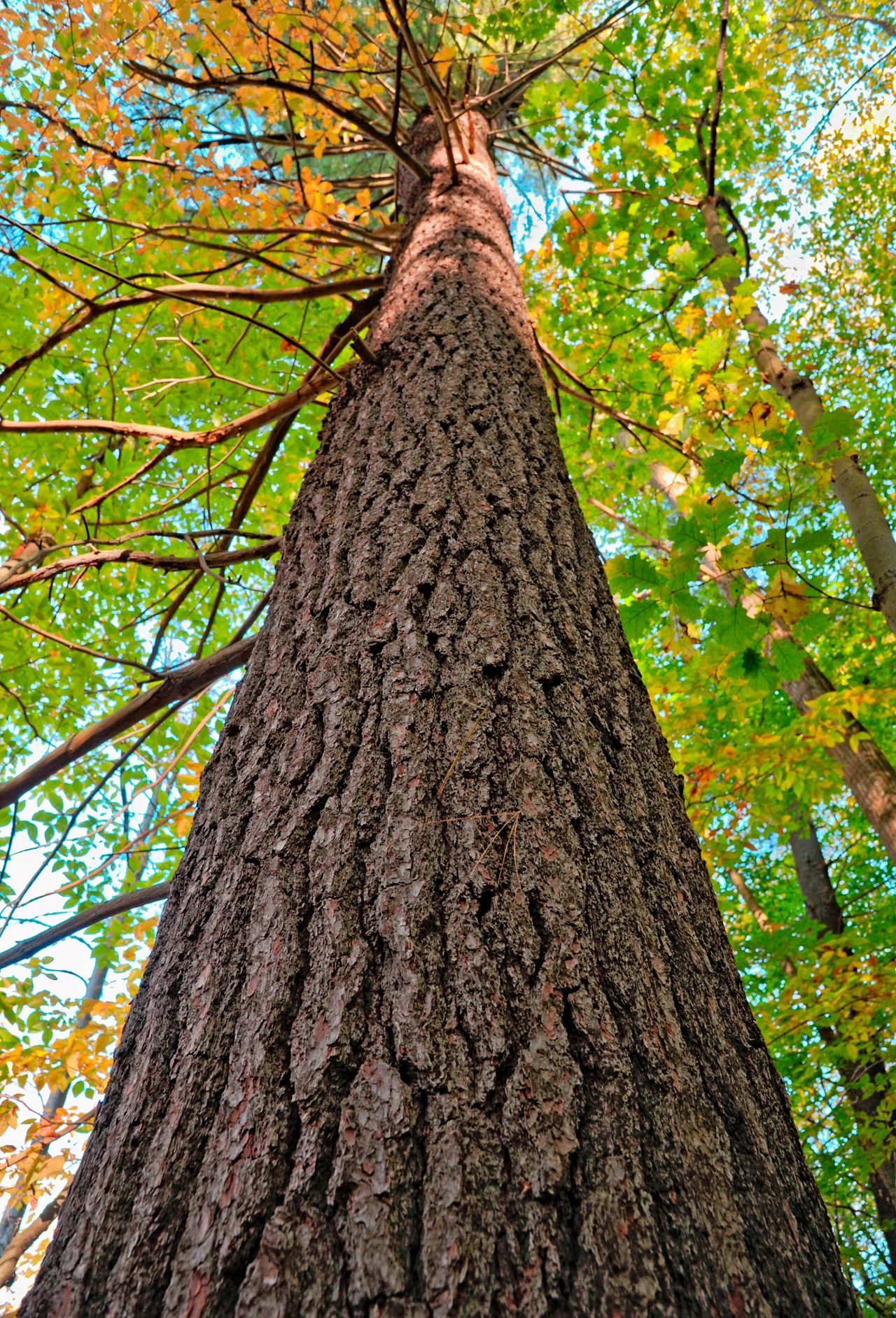 Lucia S. Nash Preserve | The Nature Conservancy in Ohio