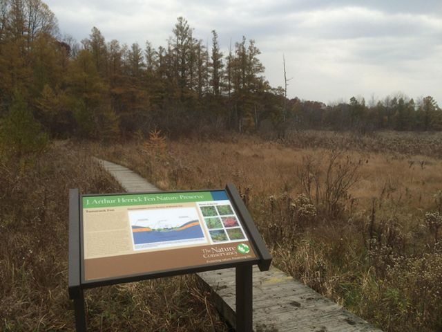 J. Arthur Herrick Fen Preserve | The Nature Conservancy