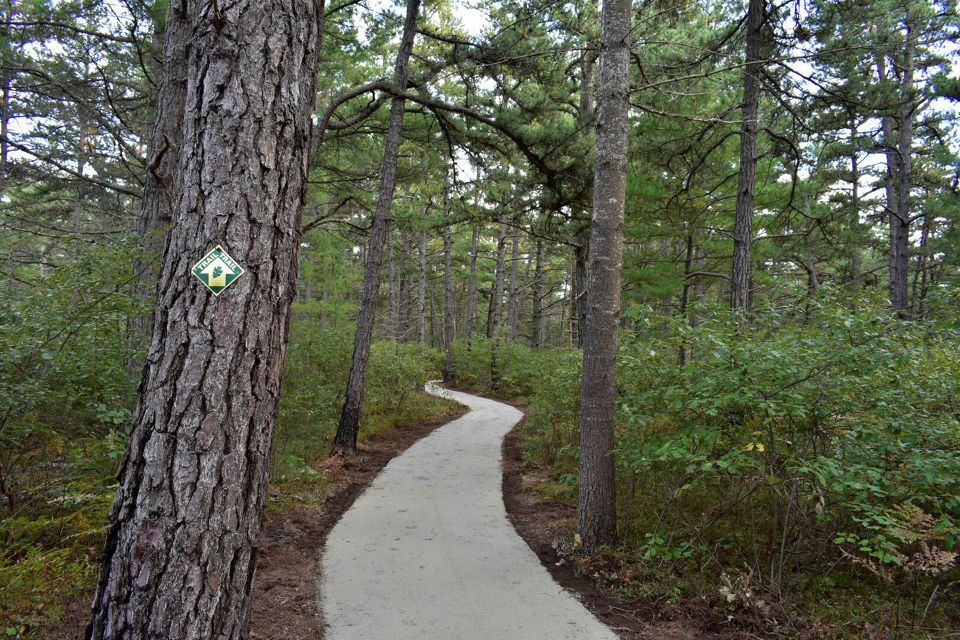 Ossipee Pine Barrens | The Nature Conservancy in New Hampshire
