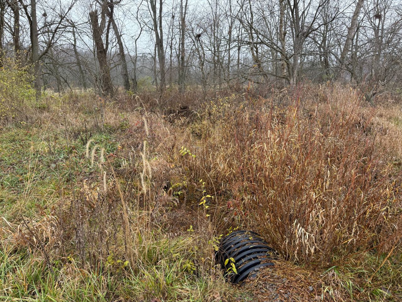 Big Darby Corridor Treatment Project
