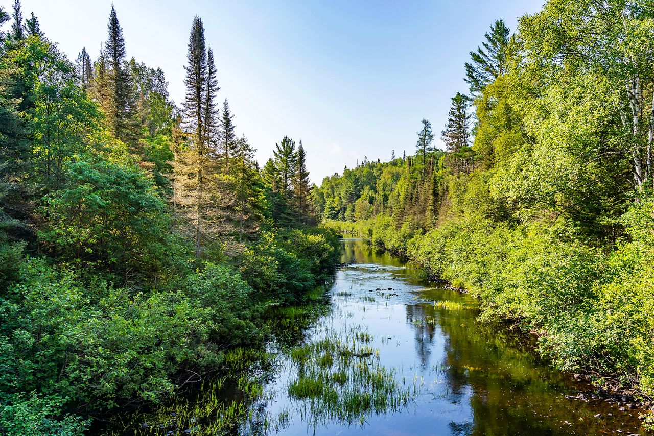 Slate River Forest | The Nature Conservancy
