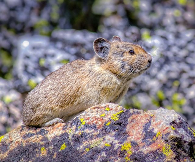 Protecting Land and Water in Idaho | The Nature Conservancy