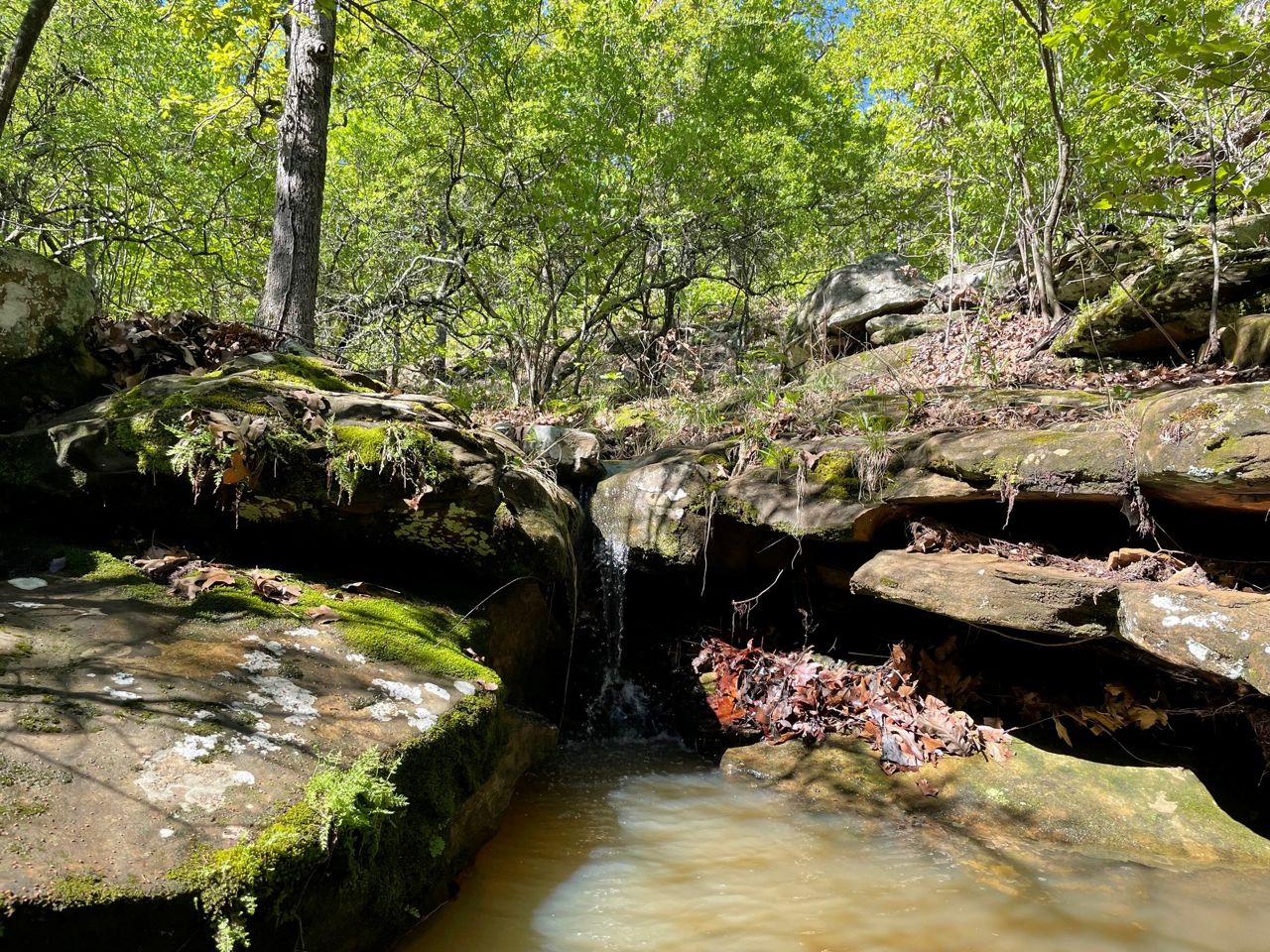 Crosstimbers Nature Preserve