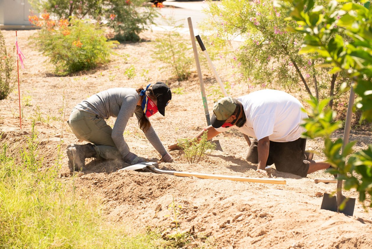 2023 Impact Report for One Conservancy Science | TNC
