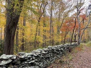 Pocasset Ridge Conservation Area | The Nature Conservancy in RI