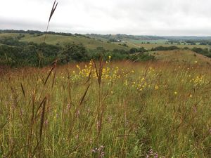 The Nature Conservancy in Iowa