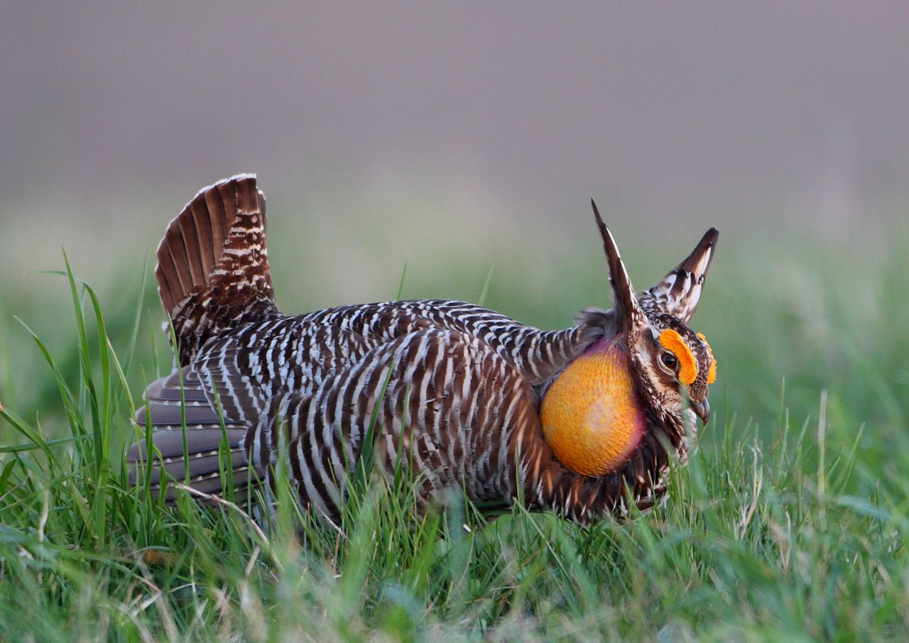 Big Lessons of Little Creek Restoration | The Nature Conservancy