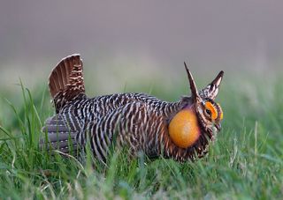 Big Lessons of Little Creek Restoration | The Nature Conservancy