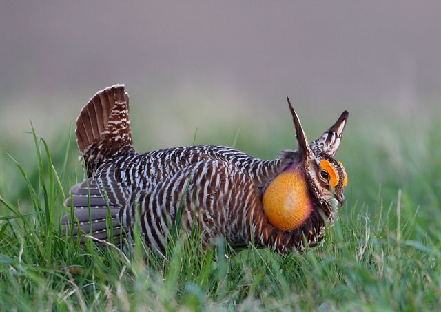 Big Lessons of Little Creek Restoration | The Nature Conservancy
