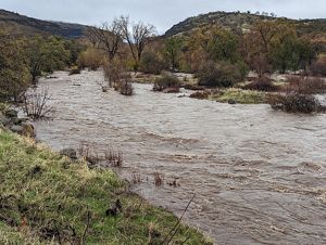 California Conservation Stories | The Nature Conservancy