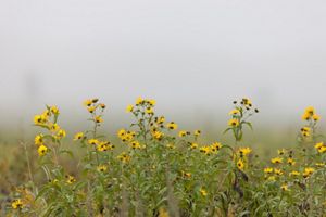 Hole-in-the-Mountain Prairie Addition | The Nature Conservancy