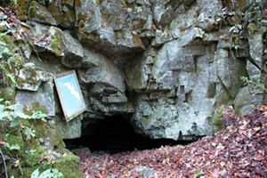 Richard O. Rowlands Preserve | The Nature Conservancy in PA