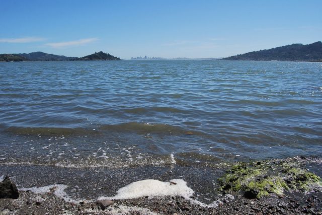 Wastewater Pollution: Turning a Critical Problem into Opportunity