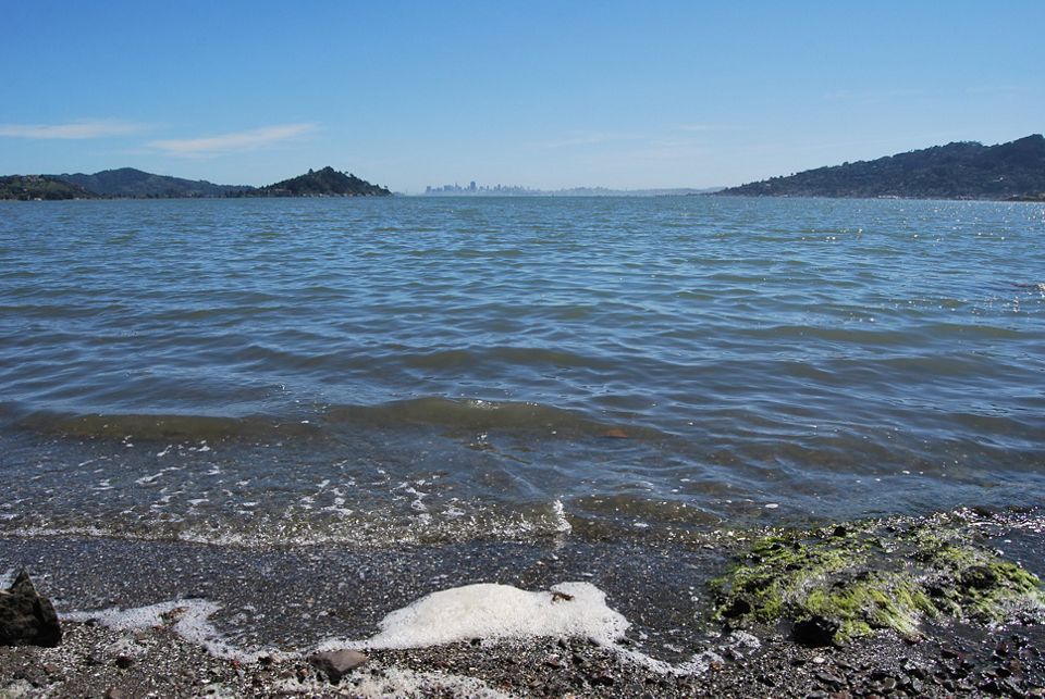 Wastewater Pollution: Turning a Critical Problem into Opportunity