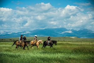 Contact | The Nature Conservancy in Montana