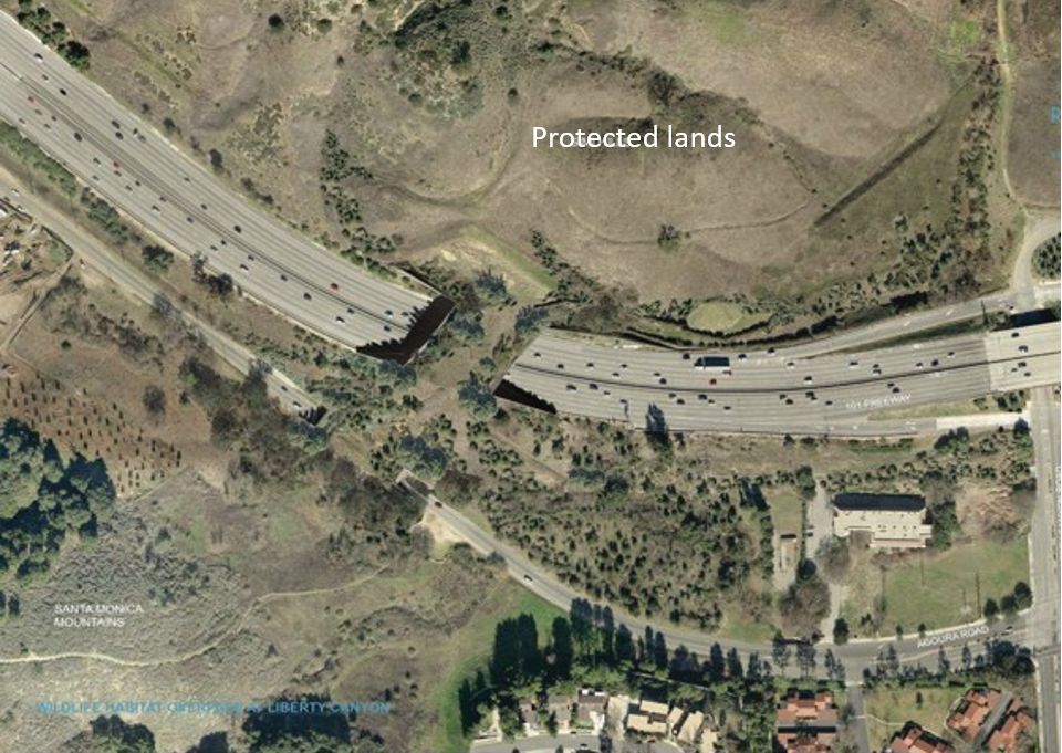 RCIS Program Overview | RCIS Toolkit