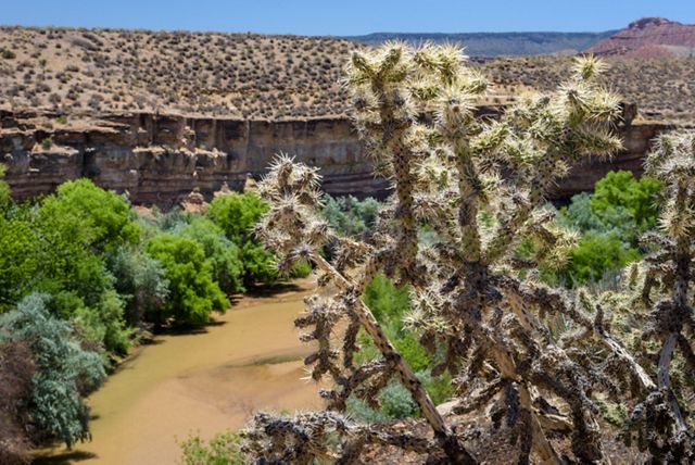 Sheep Bridge Nature Preserve in Utah | TNC