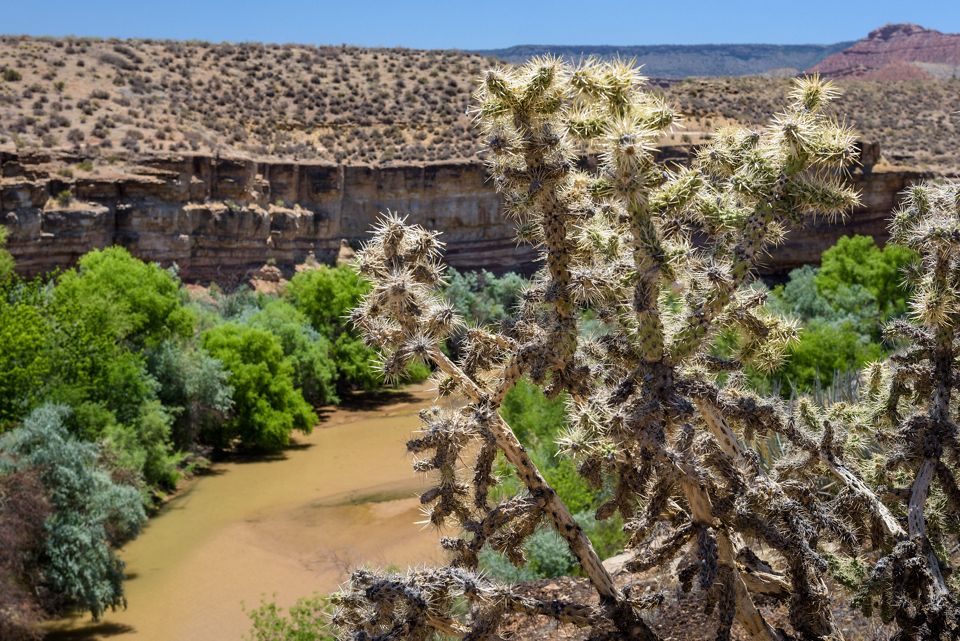 Sheep Bridge Nature Preserve in Utah | TNC