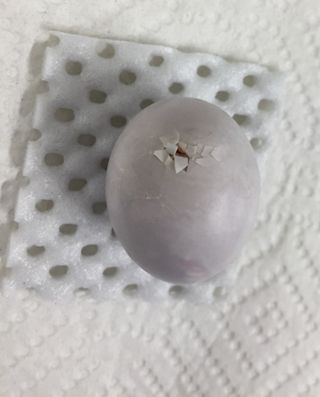 The Sihek (Guam Kingfisher) Finds Hope on Palmyra Atoll