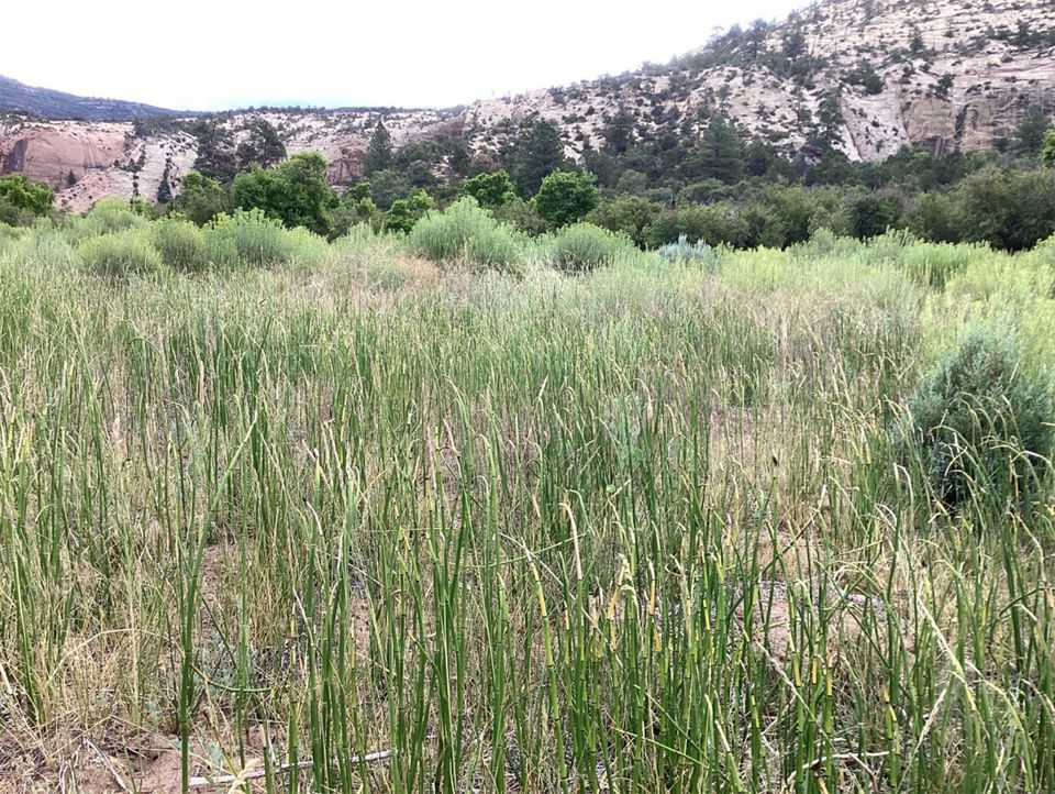 Utah's Public Lands and Research Natural Areas