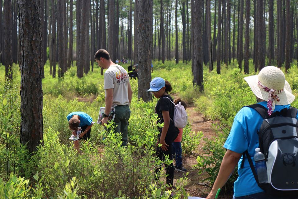 Green Swamp Preserve | The Nature Conservancy in NC