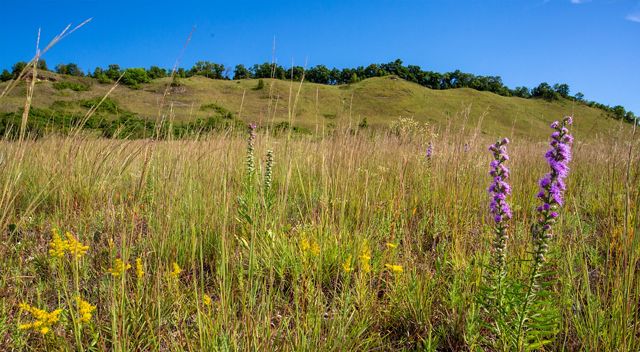 The Nature Conservancy in Wisconsin