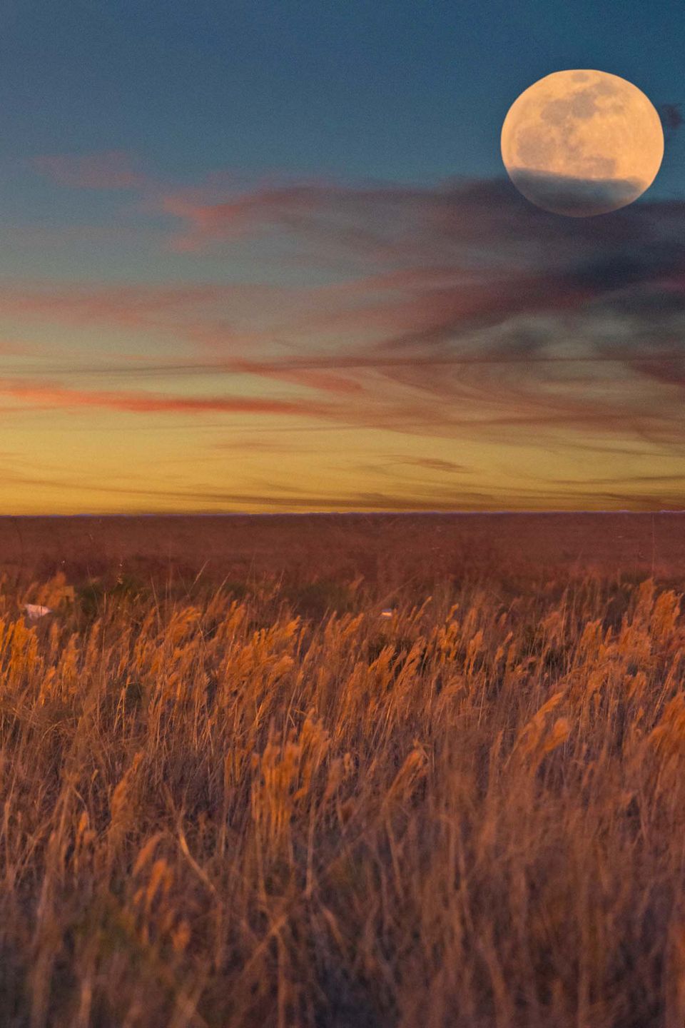 Texas City Prairie Preserve | The Nature Conservancy