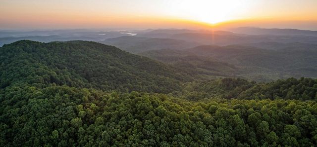 Kentucky Impact Report | The Nature Conservancy