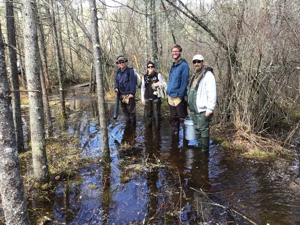Tannersville Cranberry Bog Preserve