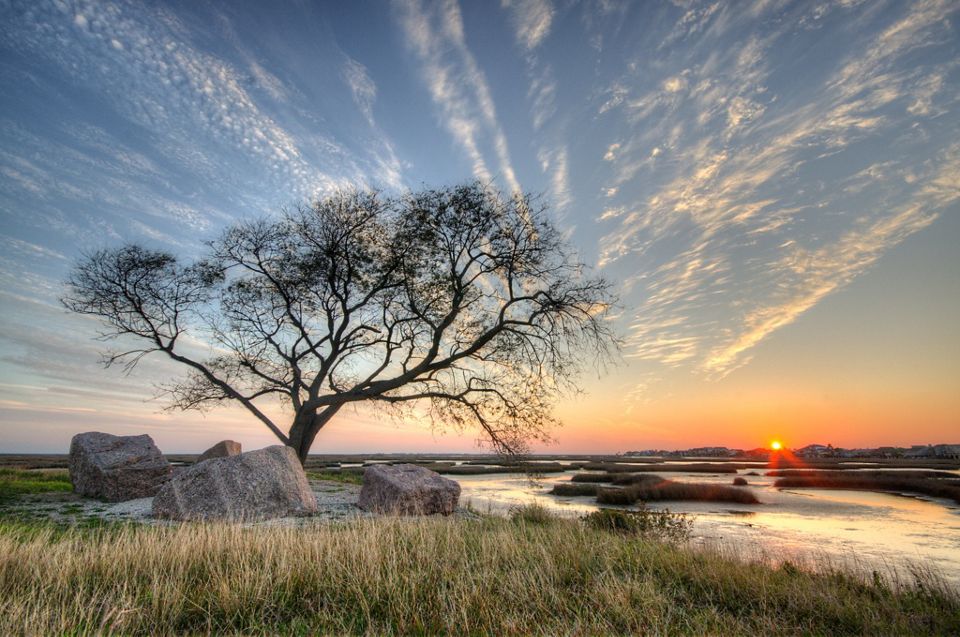 Texas City Prairie Preserve | The Nature Conservancy