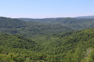 TNC Protects 1,732 Acres in Appalachian Mountains of KY