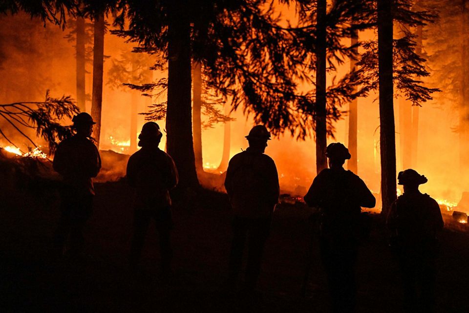Controlled Burning North Carolina | The Nature Conservancy