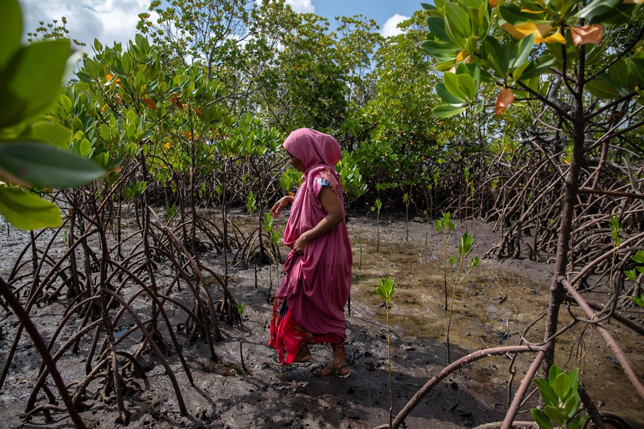 2023 Impact Report for One Conservancy Science | TNC