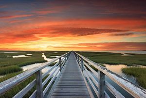 Contact The Nature Conservancy