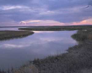 Stillwater And Carson Lake Wetlands