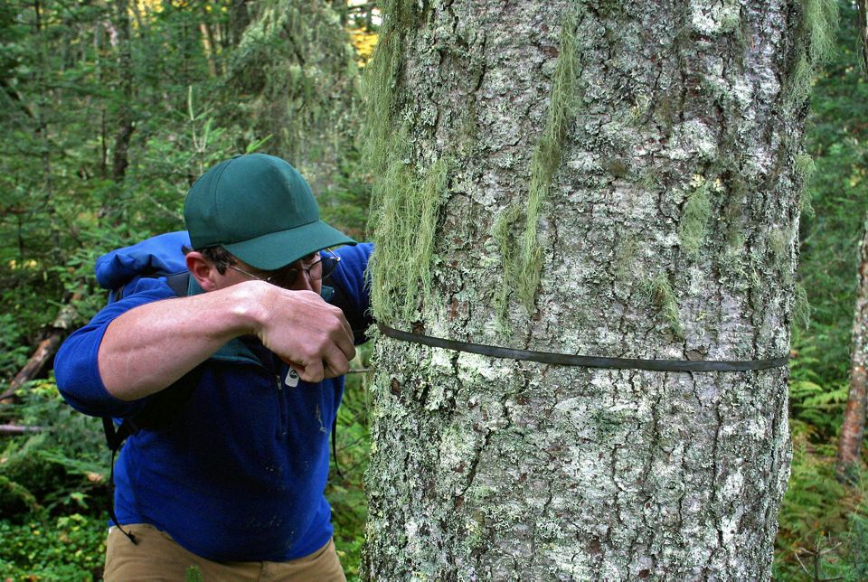 Climate Action in New Hampshire | TNC