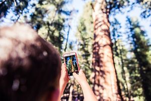Contact The Nature Conservancy in California