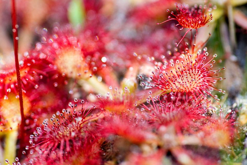 Photos: 6 Things We Love About Nature (That Aren’t Animals)