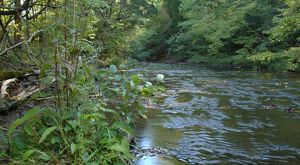 Contact The Nature Conservancy in Tennessee