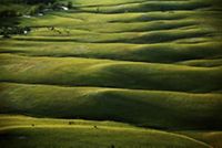 Flint Hills Initiative | The Nature Conservancy