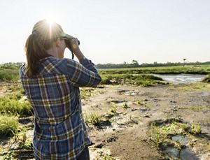 Contact The Nature Conservancy in New York I TNC