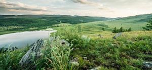 Monthly Giving | The Nature Conservancy