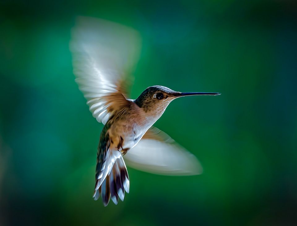 Green's Bluff Nature Preserve | The Nature Conservancy in Indiana