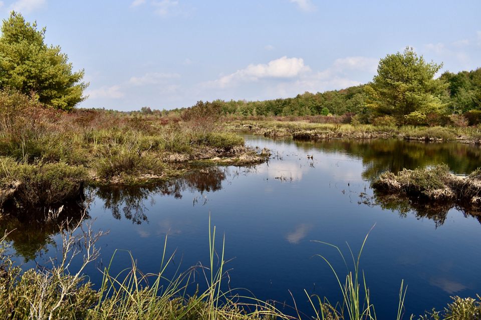Thomas Darling Preserve