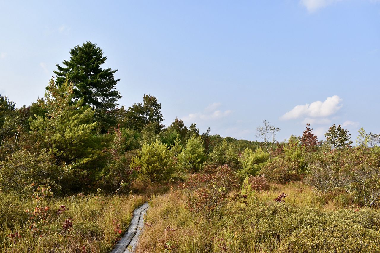 Thomas Darling Preserve