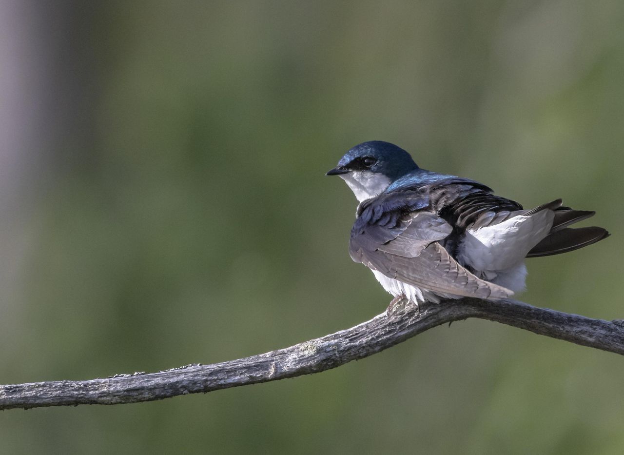 Garrett Family Preserve at Cape Island Creek New Jersey | TNC